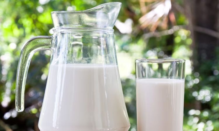 Benarkah Susu Oat Lebih Baik Daripada Susu Sapi Biasa? Ini Kata Ahli ...