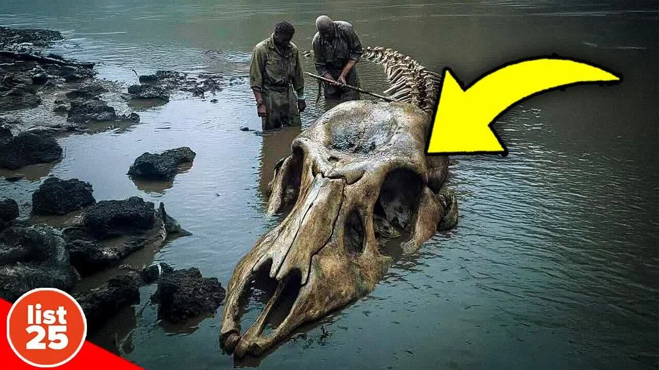 25 Cryptids Modern Science Still Can't Explain