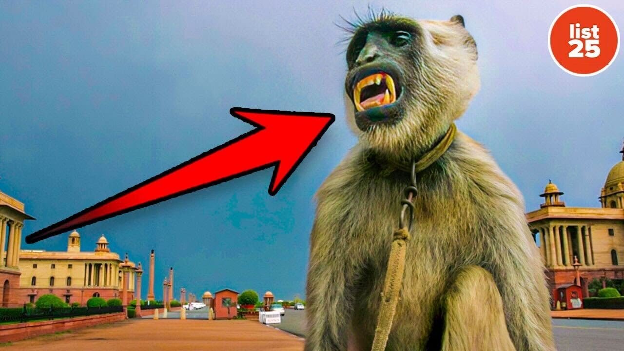 25 Outrageous Mass Hysteria Events Throughout History