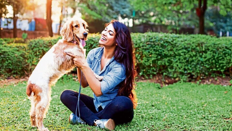 Protecting our pets: Simple steps to reduce cancer risk