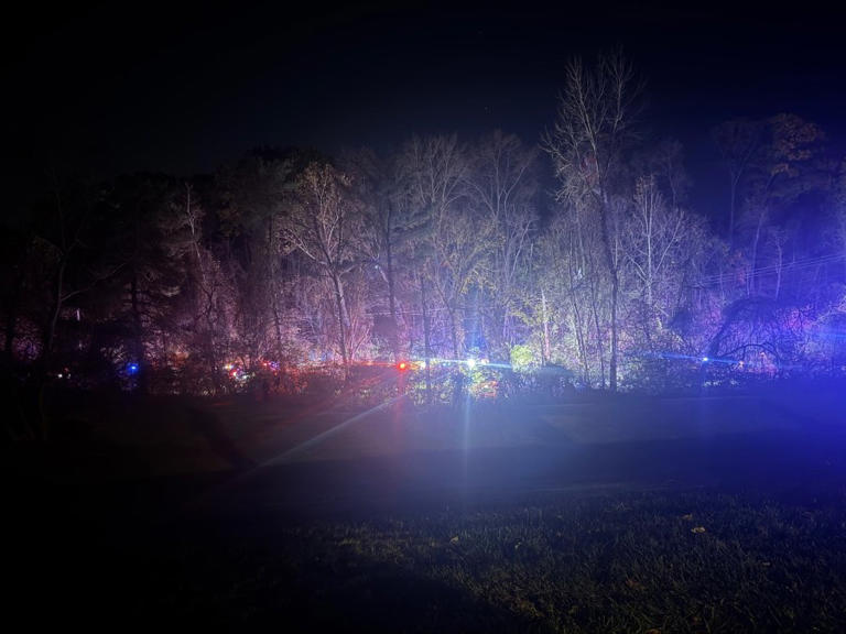 Parachute saves 2 after plane goes down in Chesterfield: Officials