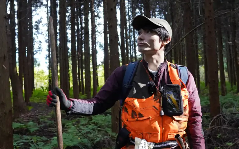 Japan battles spike in bear attacks