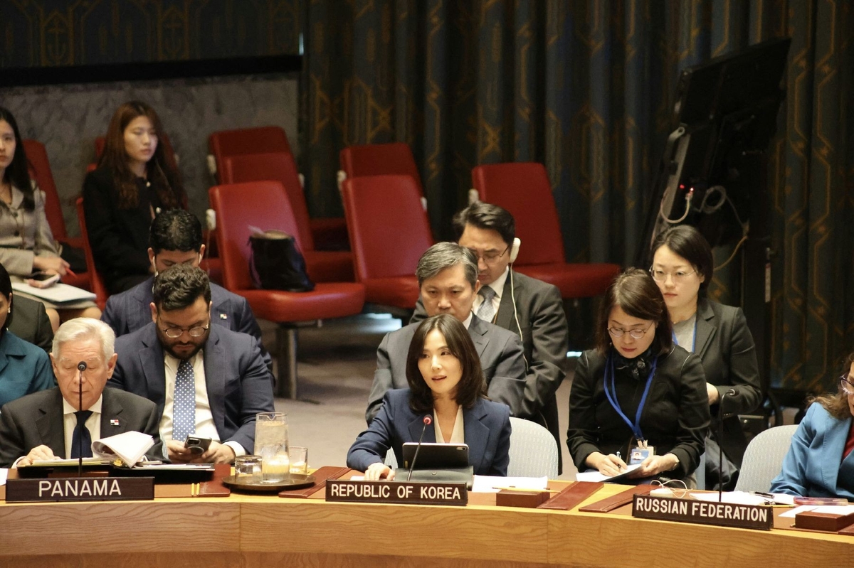 Vice FM calls for effective implementation of arms embargoes to curb ...