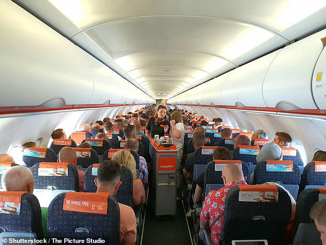 Inside the secret language used by cabin crew, and what to watch for on ...