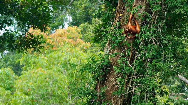 Experts discover incredibly rare creatures living in unexpected ...