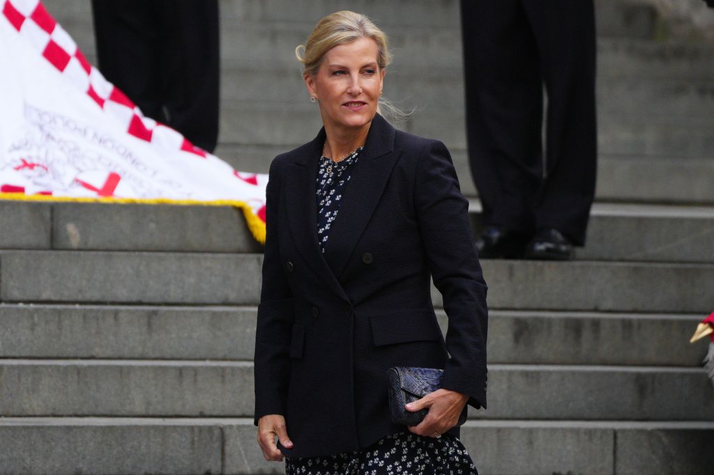 Court hears update on Duchess Sophie's royal escort crash that killed ...