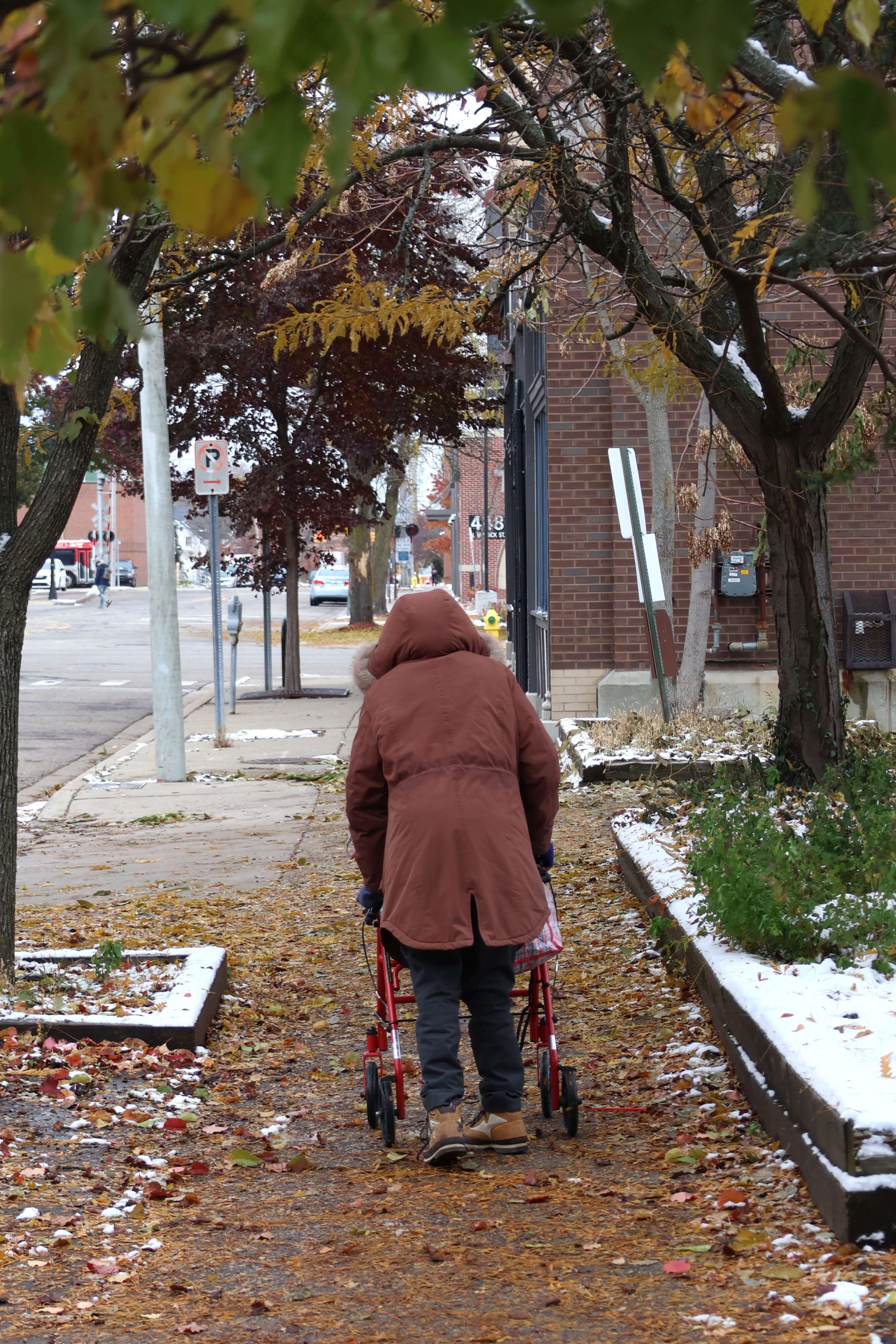 ‘Herby Curby’ lockers for homeless? Kalamazoo County may spend $15K on ...