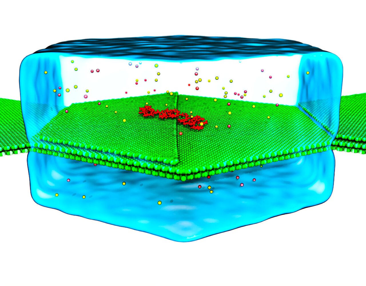 Angstrom-level imaging and 2D surfaces allow real-time tracking and ...