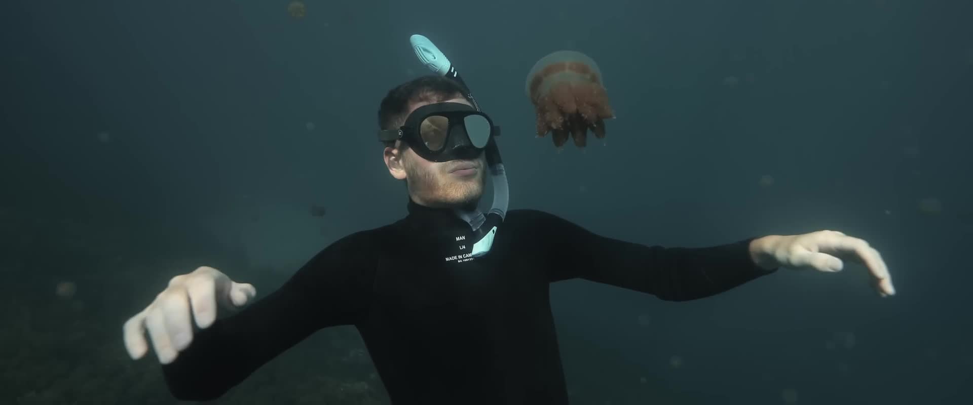 Unlocking the secrets of free diving 🐠