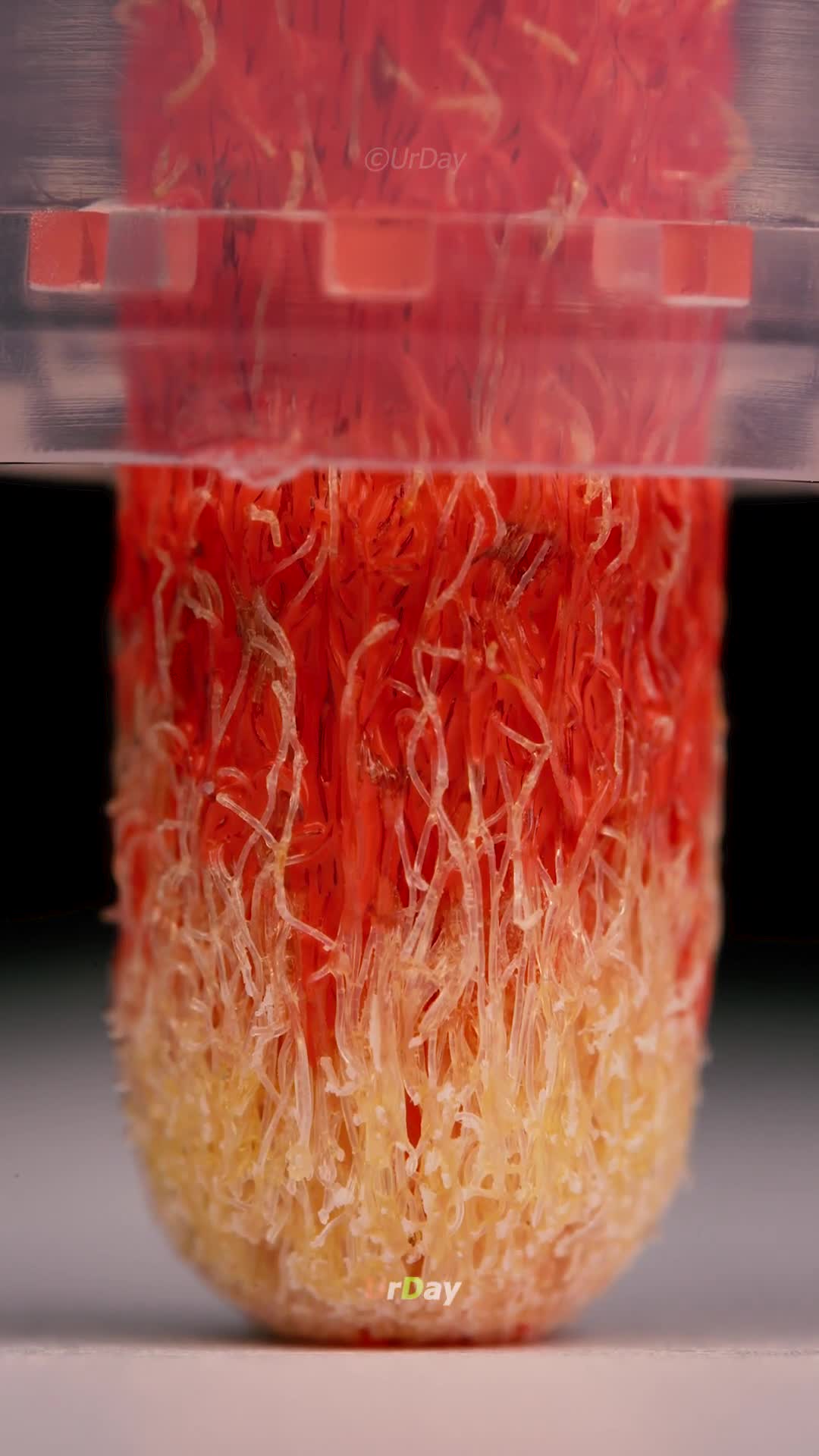 Active a new marker extreme close up #satisfying #markers # ...