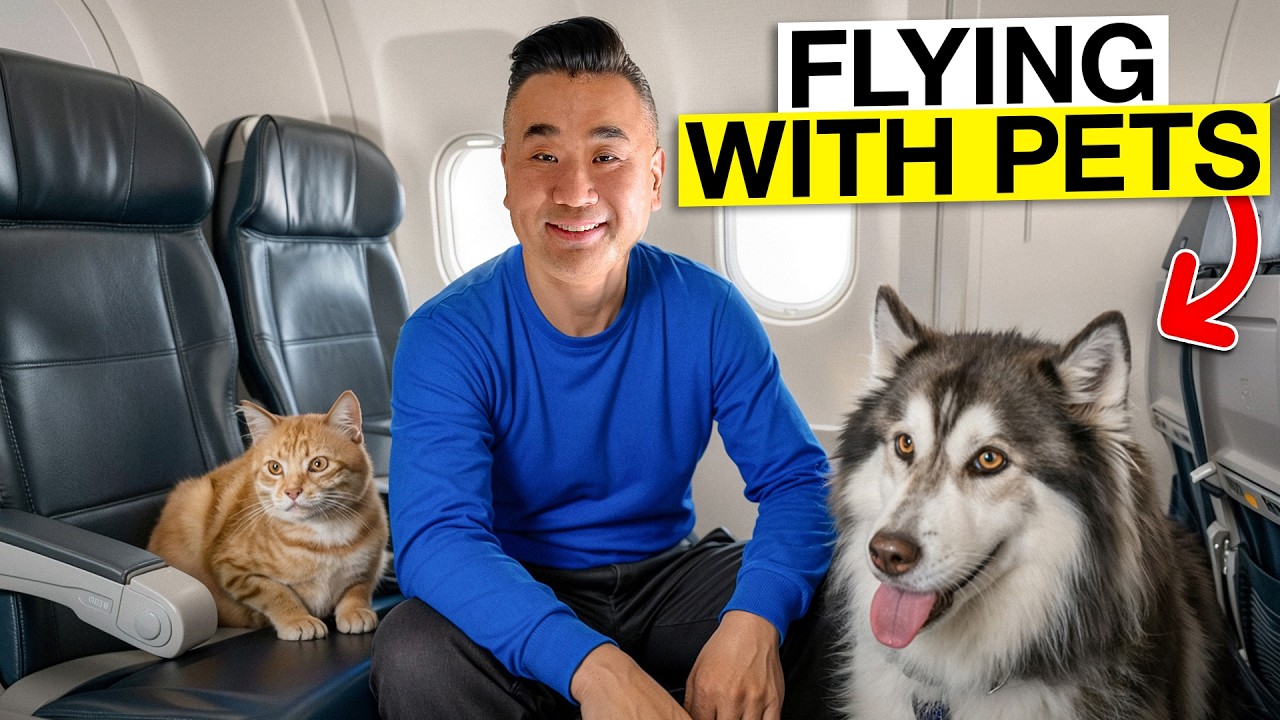 I flew with my pets on a private flight ️