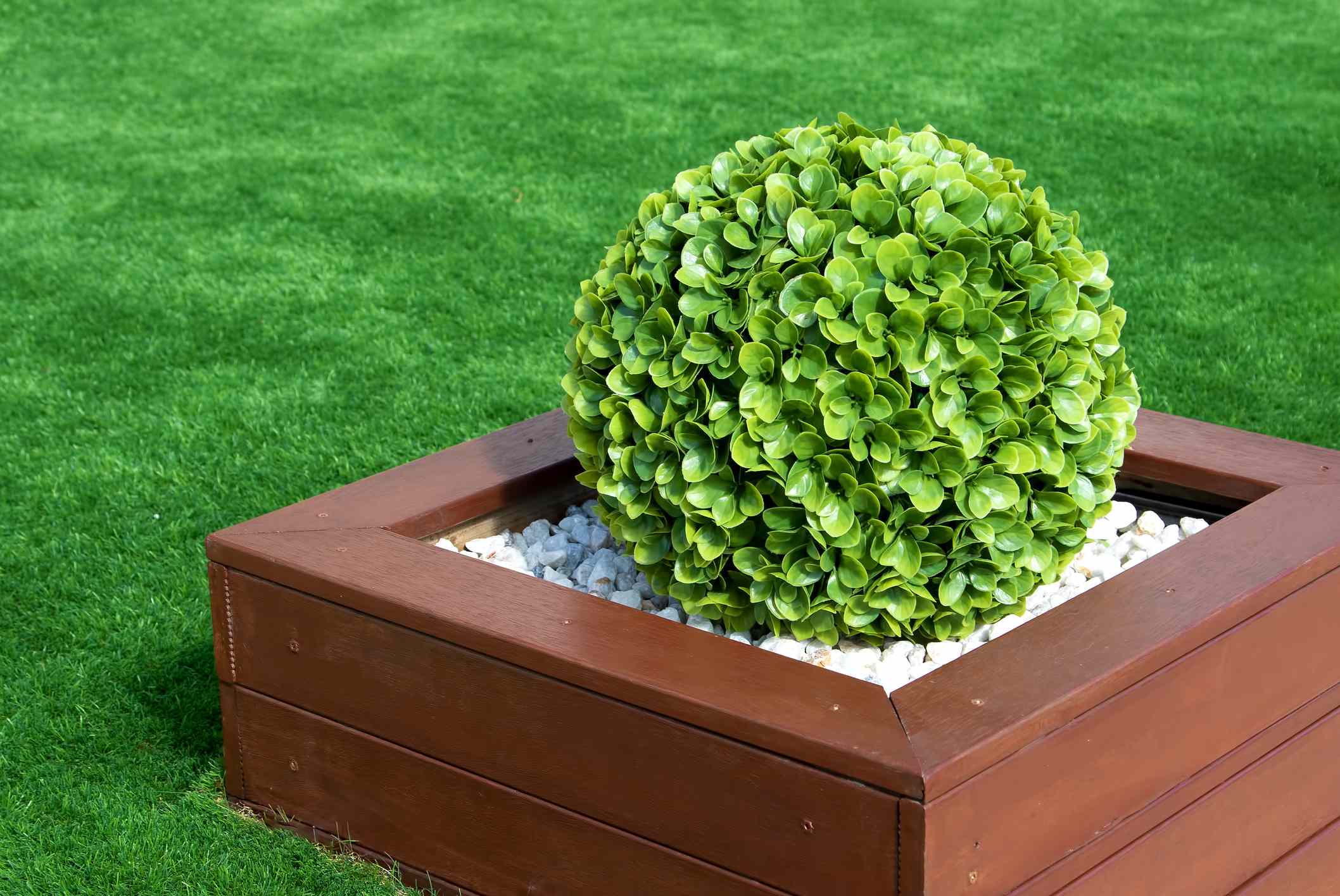 Can You Actually Plant Faux Plants in Your Yard? We Asked Gardeners and ...