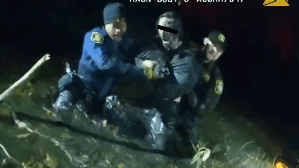 Police pull combative man from Paw Paw River