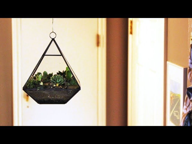 DIY terrarium: Simple, easy, and modern greenery