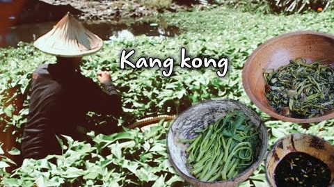 Backyard Kang Kong Adobo Recipe – Kabagis | Life in Rural Philippines