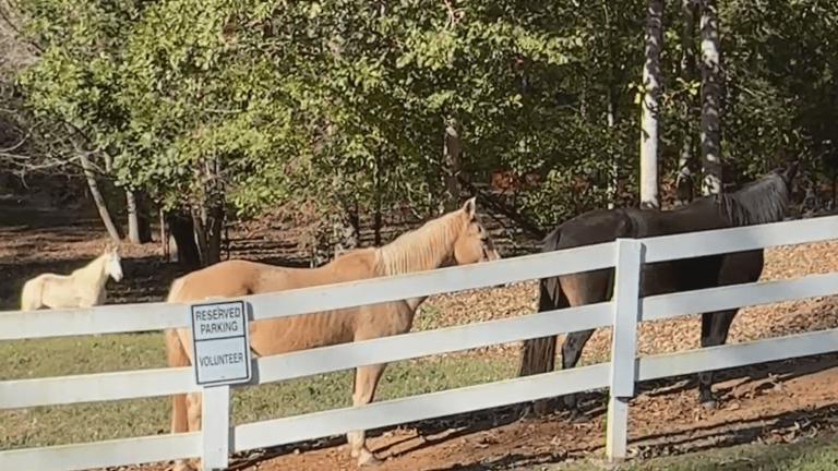 Retired Command Sergeant Major continues mission to serve veterans through Warrior Outreach