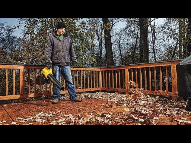 Top 5 best cordless leaf blowers