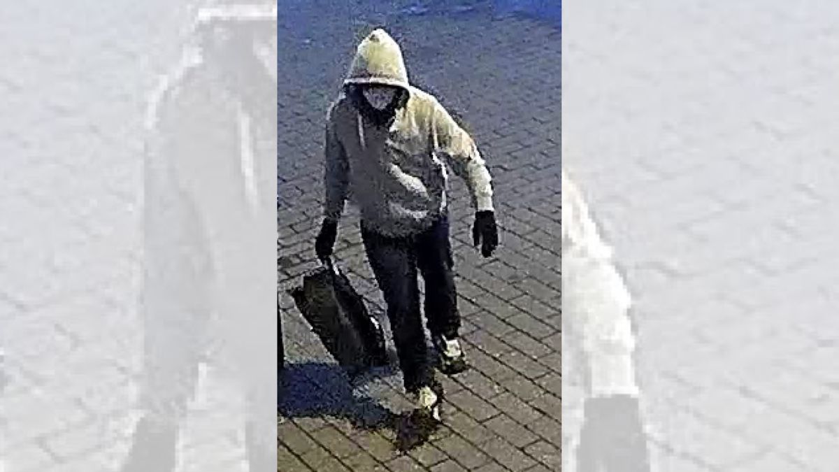 Report linked ex-Capitol Police officer to 'Jan. 6 pipe bomber': What ...