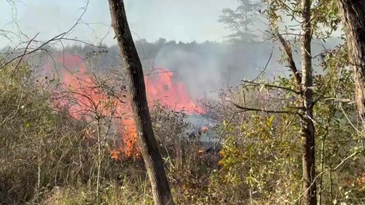 Fire crews contain 95% of 56-acre blaze in Jasper County