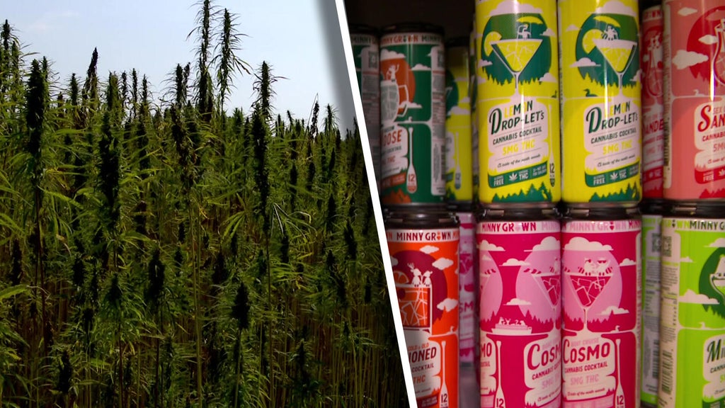 Minnesota lawmakers, small businesses scrambling to overturn new hemp law