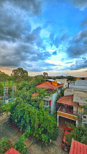 Home Green Home : Bengaluru couple turns 1,500 sq ft house into a mini ...