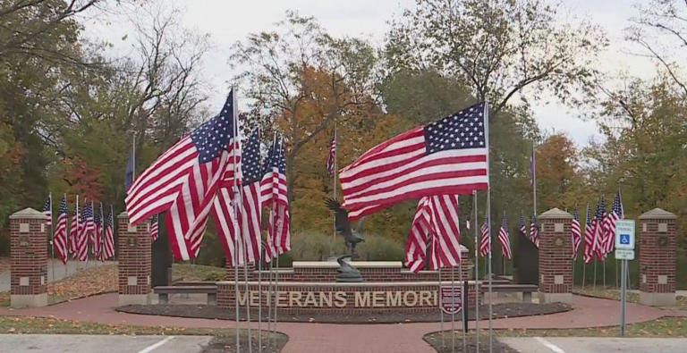 Veterans Day: Flags of Valor, Hometown Heroes tributes in west St ...