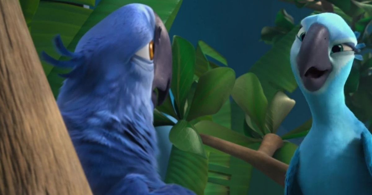 Rio & Rio 2 Set Netflix Streaming Date