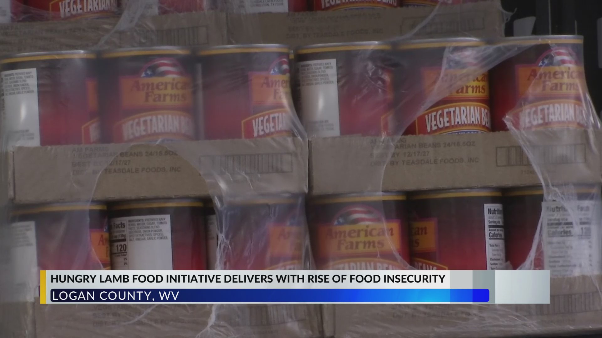 Food initiative offers delivery amid food insecurity