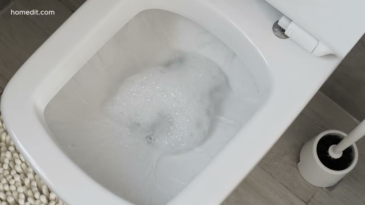 Toilets are NOT trash cans! Here's why 🚽💧