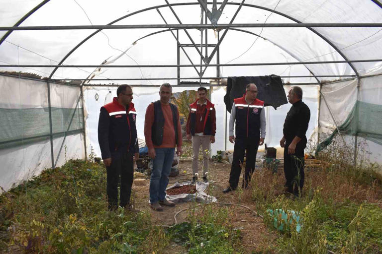 KAIST Researchers Develop Verified C-to-Rust Conversion to Strengthen Global Software Security