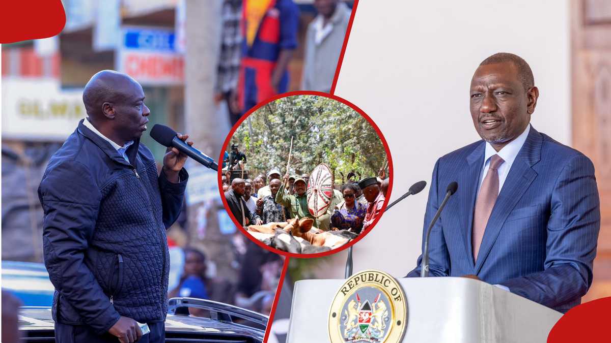 Gachagua says Ruto is confused after Kalonzo's grand reception at Raila ...