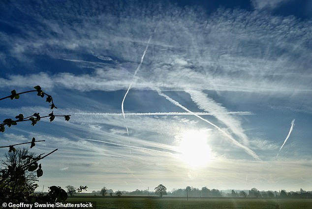 US military accused of spraying operation dumping 60 million tons of ...