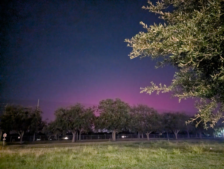 Northern lights spotted in Florida. Here's where. Will they be visible ...