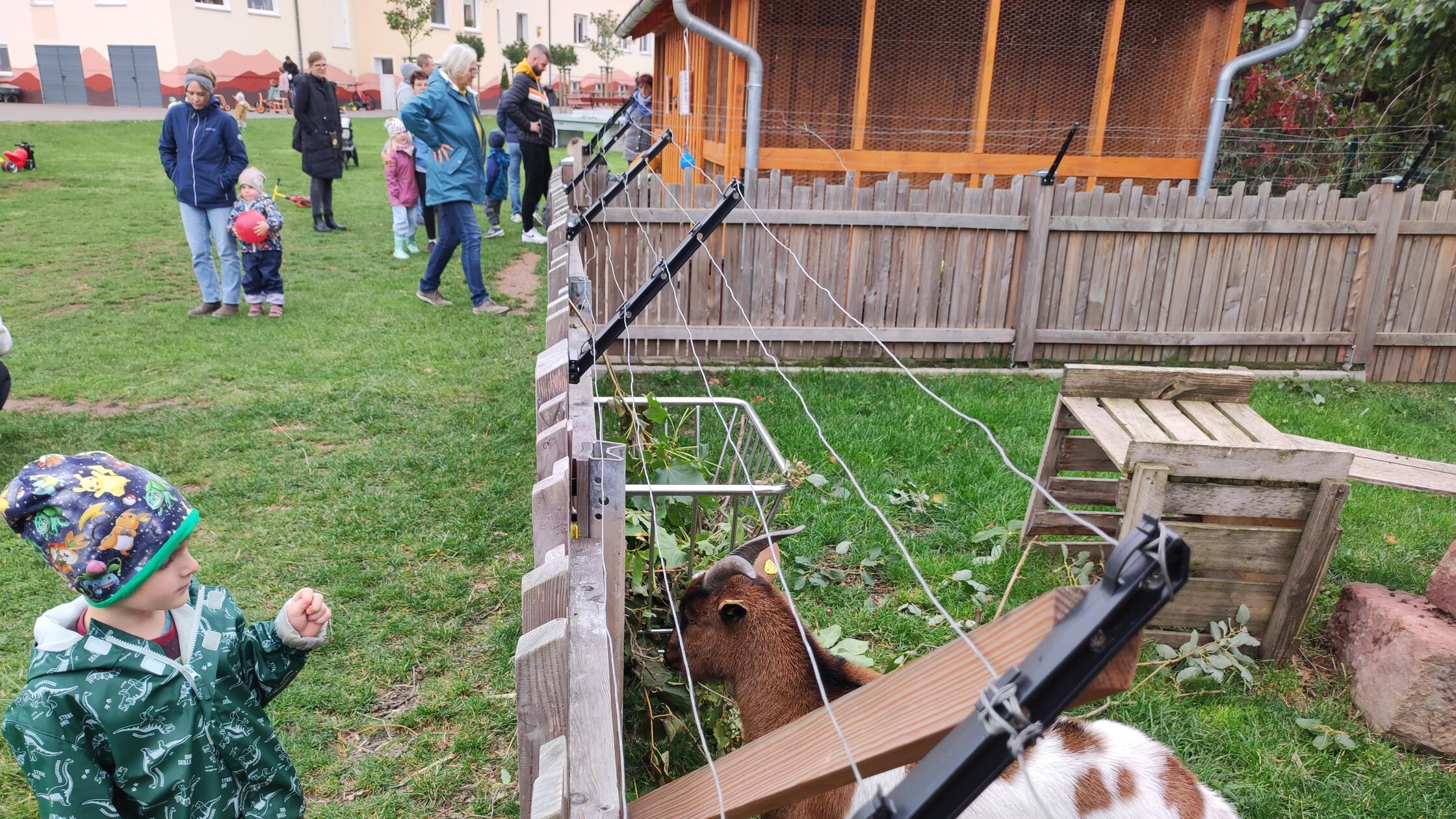 Familienurlaub in der Rhön - mit Aktivitäten im Familotel und an der ...