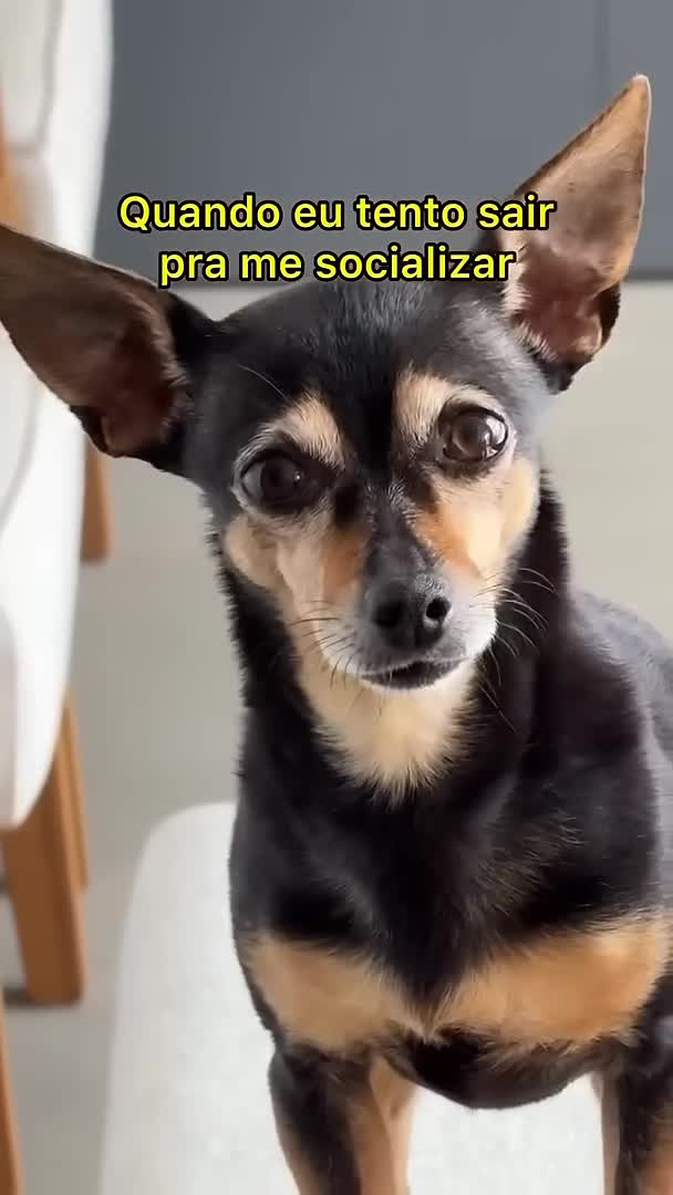 QUANDO TENTO SAIR PRA SOCIALIZAR