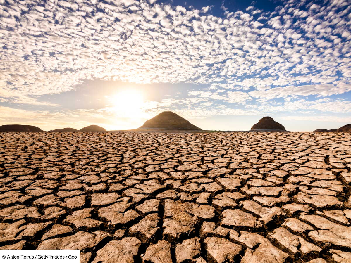 Comment "The Line", la ville futuriste voulue par le prince saoudien MBS, a mordu la poussière ...