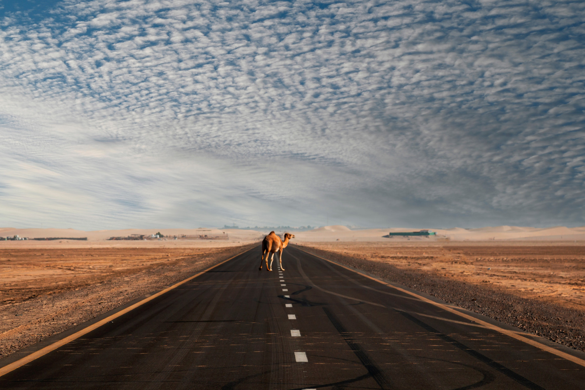 Countries with the largest road networks in the world