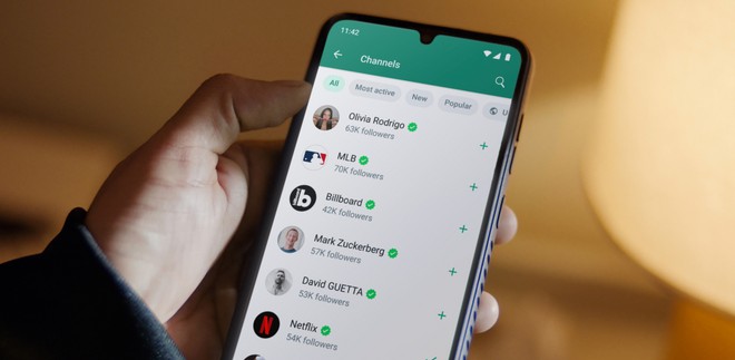 Username su WhatsApp: cosa cambia per privacy, contatti e sicurezza