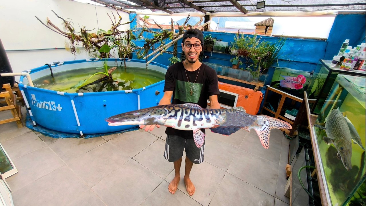 Chegou um Peixe Monstro Gigante e Impressionante – Dia de Resgate