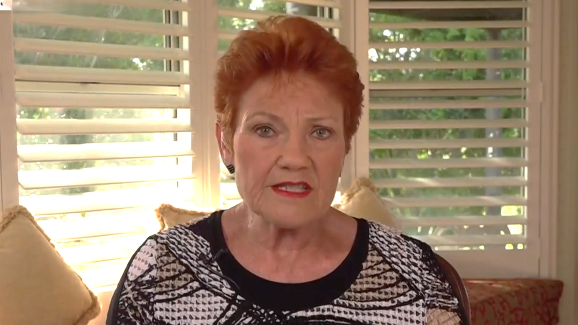 ‘They are split’: Pauline Hanson blasts Liberals over net zero meeting