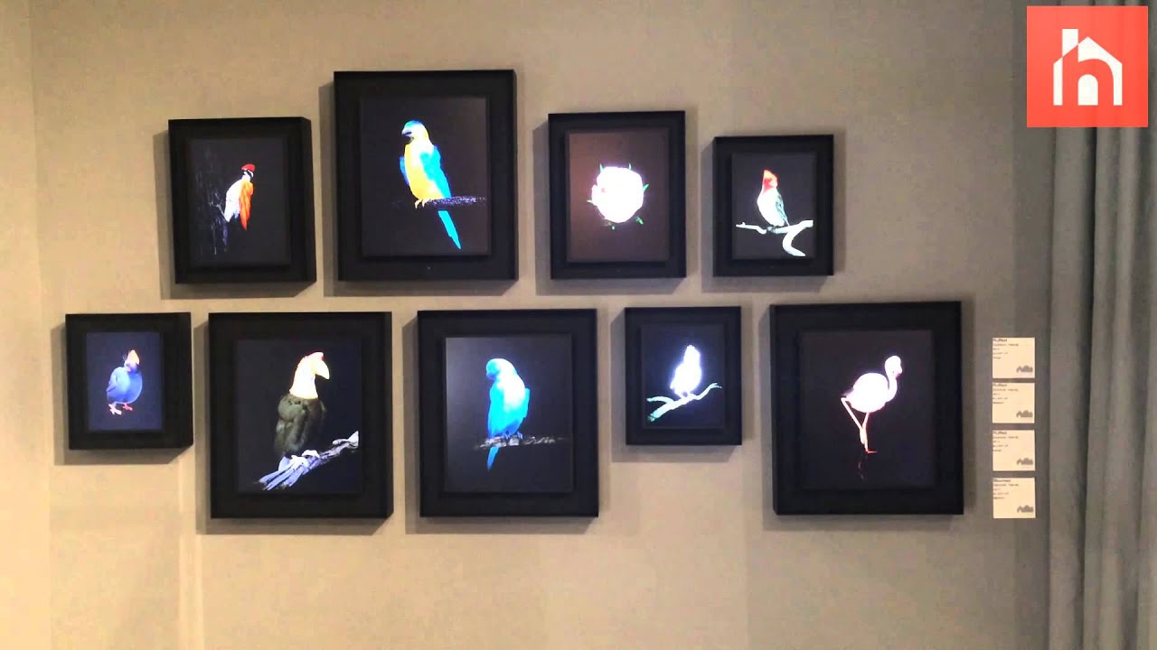 Ruffled - modern wall art