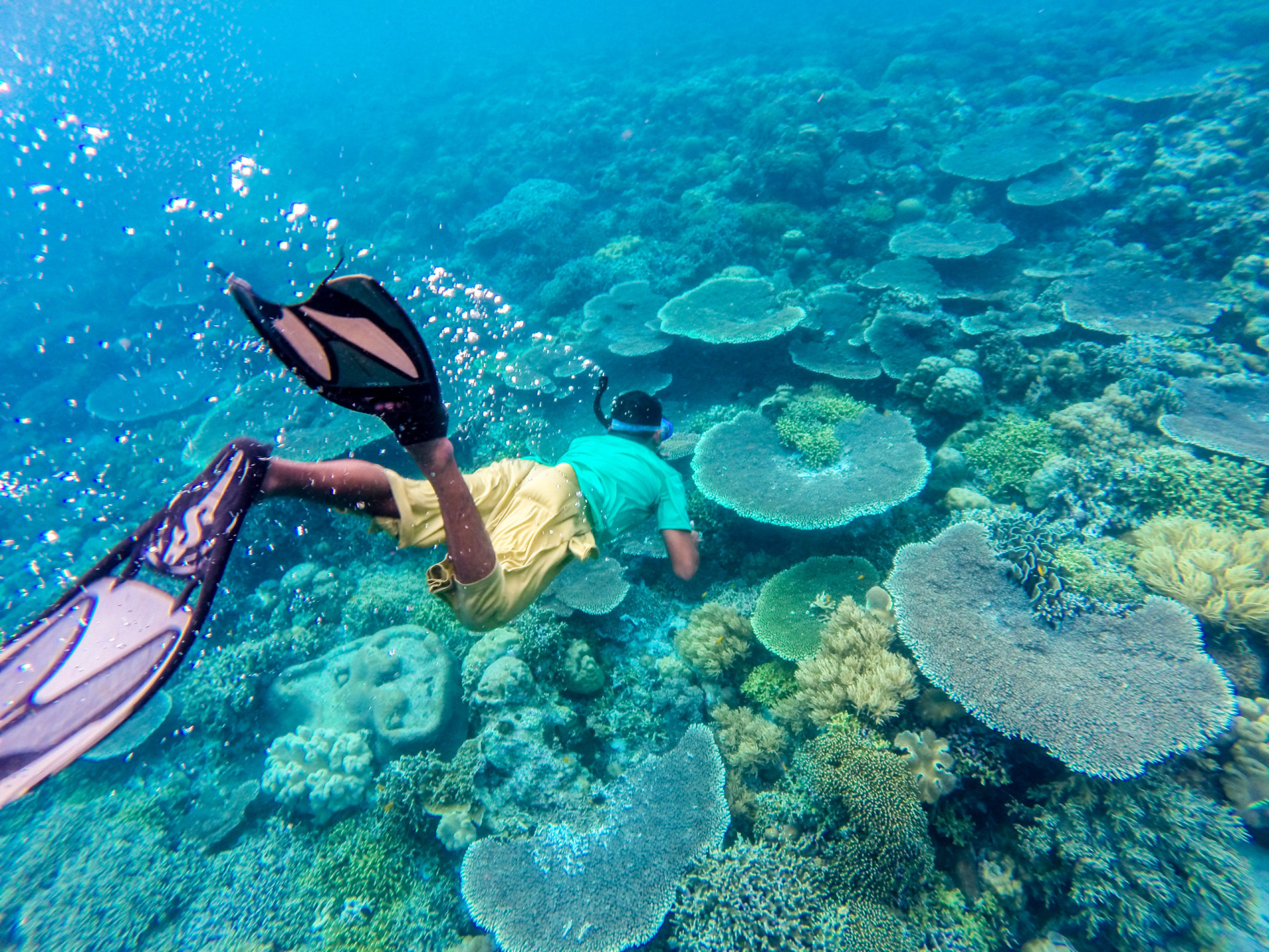 The world's most colorful coral reefs