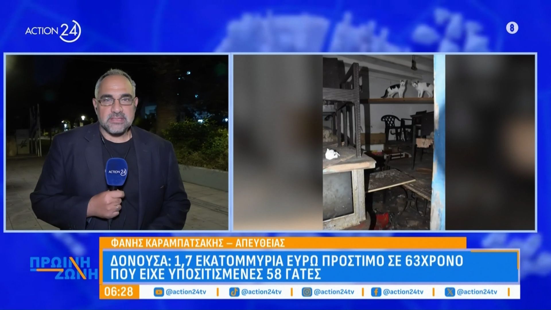 Δονούσα: Πρόστιμο 1,7 εκατ. ευρώ σε 63χρονο που είχε υποσιτισμένες 58 γάτες