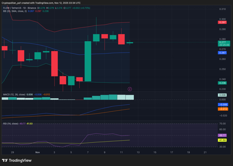Flow coin price prediction 2025-2031: Is FLOW a good investment?