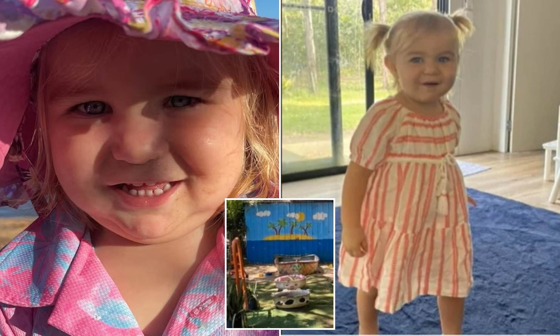 Dramatic update after toddler choked to death in chicken coop fence at ...