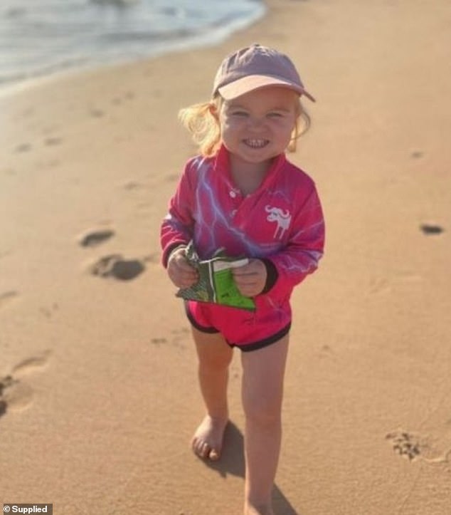 Dramatic update after toddler choked to death in chicken coop fence at ...