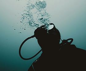 Inside Dubai Police’s elite underwater crime scene team