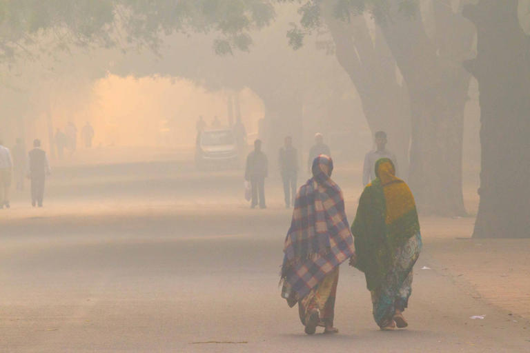 How air pollution is rewriting lung health and pneumonia diagnosis in India