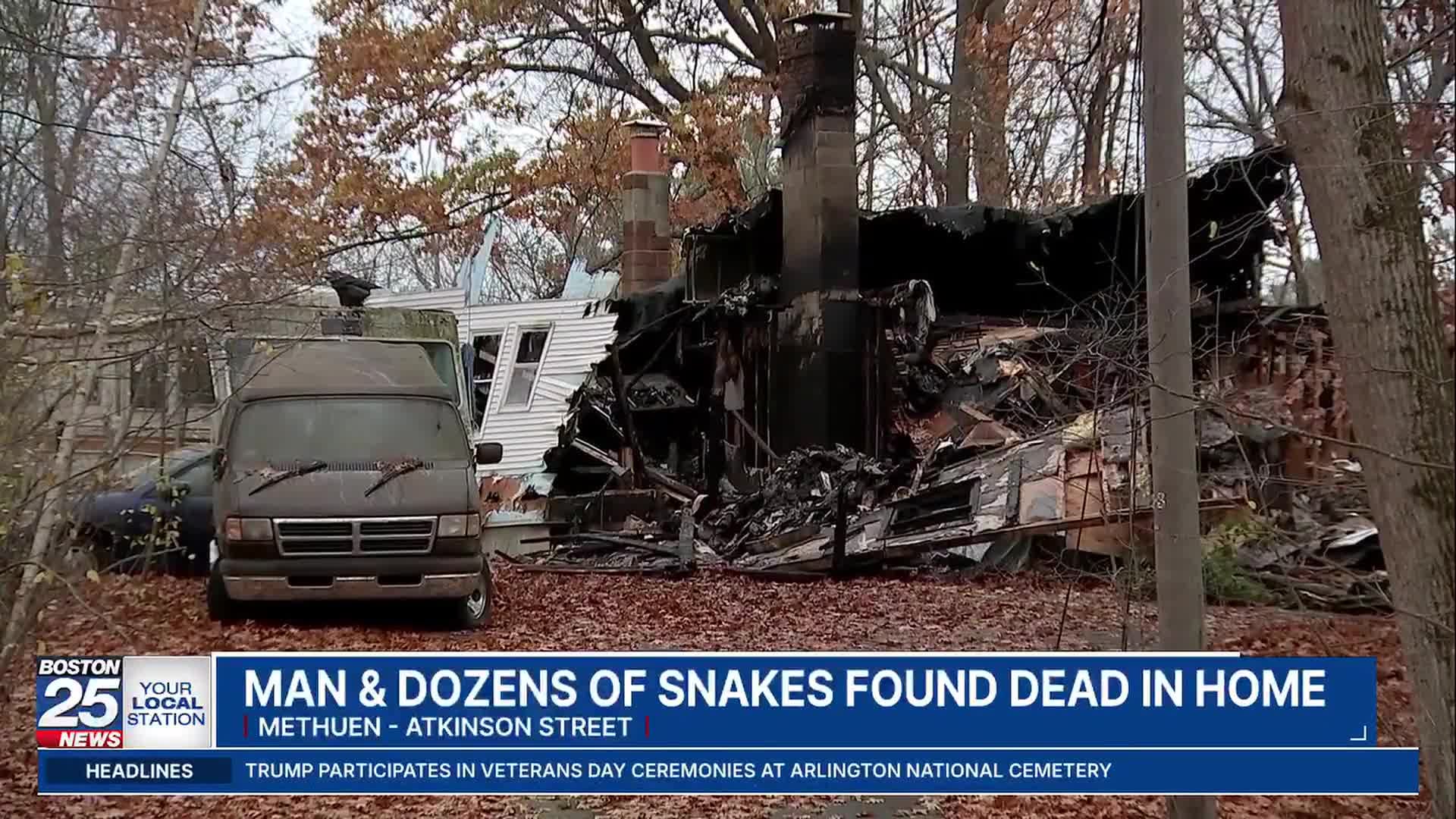 Man, 60 snakes found dead after fire rips through Merrimack Valley home