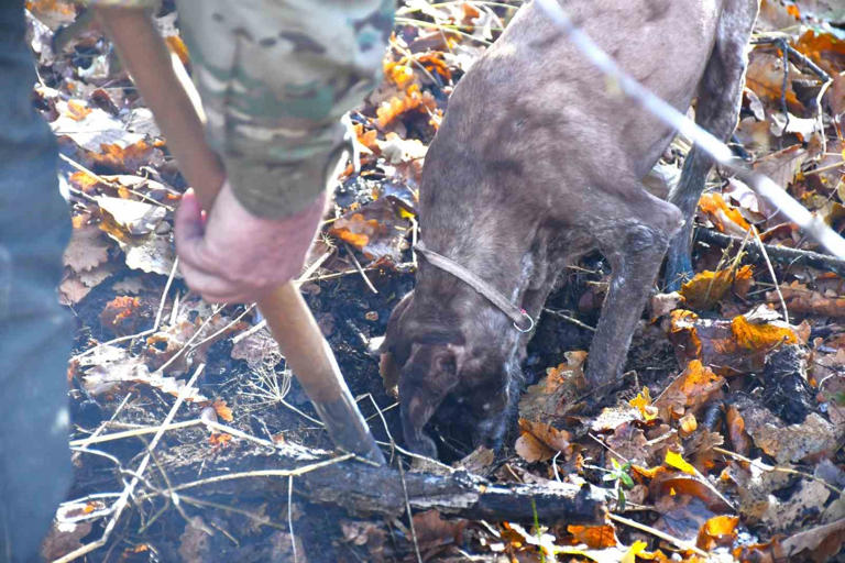 Bayburt ‘Kara Elmas’ ile tanışacak